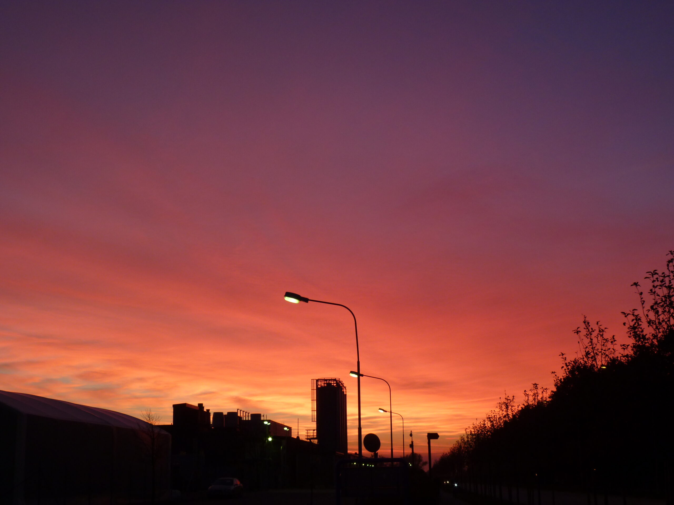 内に秘める炎、Emilia Amperの「Elden」。 | 峰村茜 / ニッケルハルパ奏者